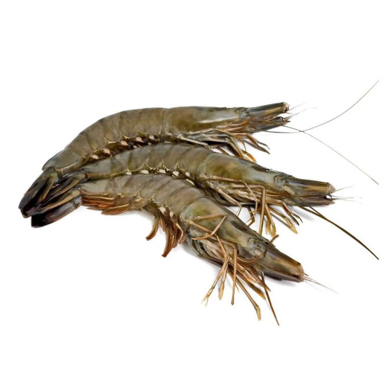Buy Frozen Prawns | Frozen Seafood